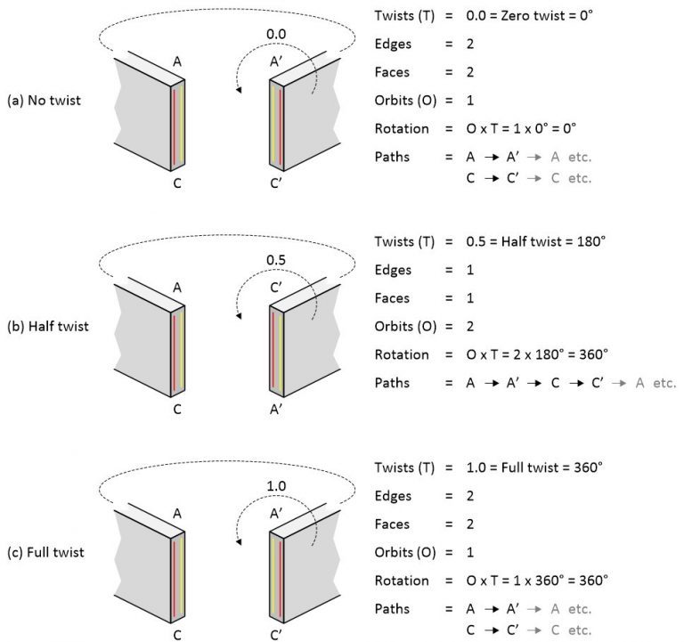 Tortuously Topological Toroidal Transformations (a.k.a. Donut Math ...