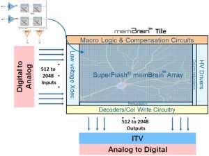 Is It a Bird? Is It a Plane? No, It’s Superflash memBrain! – EEJournal