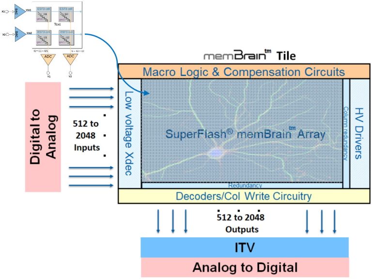 Is It a Bird? Is It a Plane? No, It’s Superflash memBrain! – EEJournal
