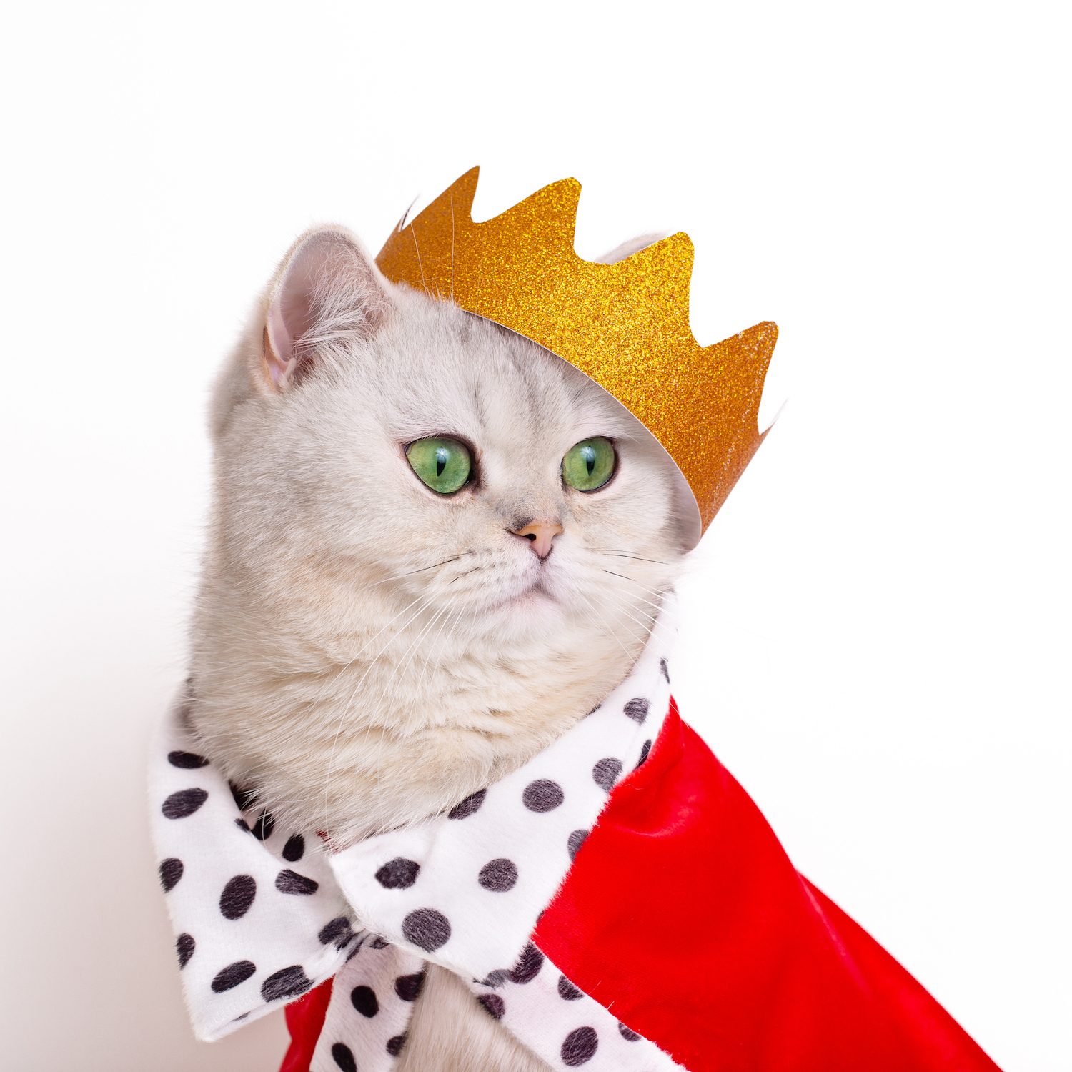 With 18.5 million logic cells, AMD’s Versal VP1902 Premium Adaptive SoC ...