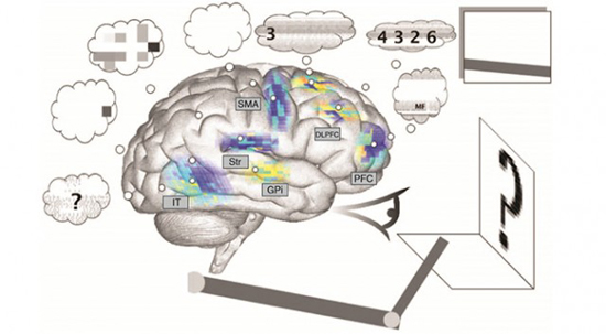 World’s most complex artificial brain ever passes IQ tests – EEJournal
