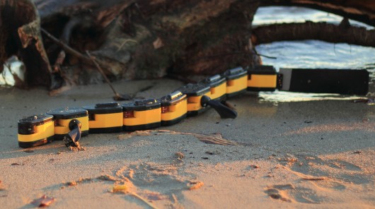 Salamandra robotica II moves swiftly on both land and water – EEJournal