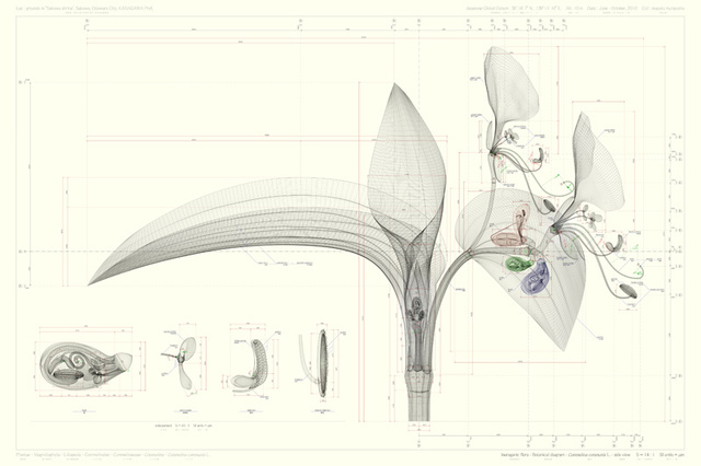 Inorganic Flora, a collection of detailed botanical blueprints – EEJournal