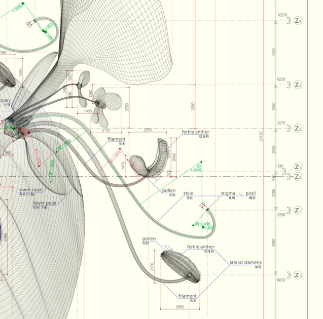 Inorganic Flora, a collection of detailed botanical blueprints – EEJournal