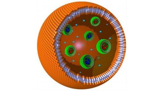 World-first working eukaryotic cell made from plastic – EEJournal