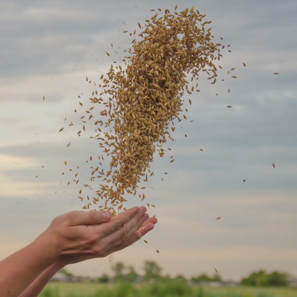 How Does Scatter/Gather Work? – EEJournal